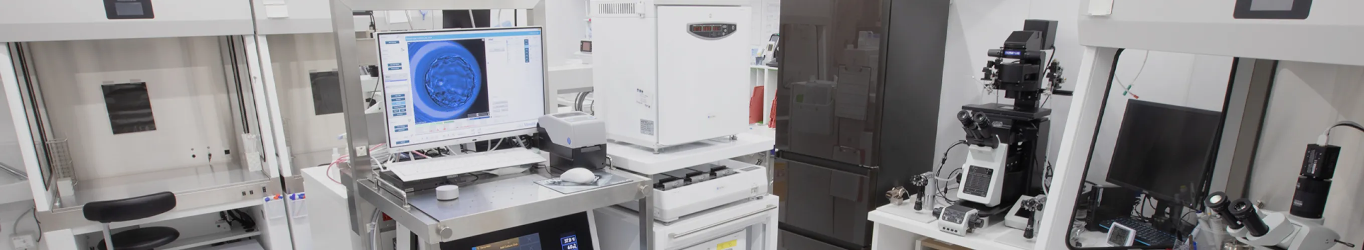 EMMA & ALICE検査（先進医療：子宮内細菌叢検査1）｜先進医療｜表参道ARTクリニック【公式】｜港区・表参道・渋谷エリアの不妊治療 ...